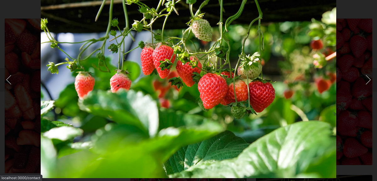 How to Use React Image Lightbox. How to create a quick, responsive ...