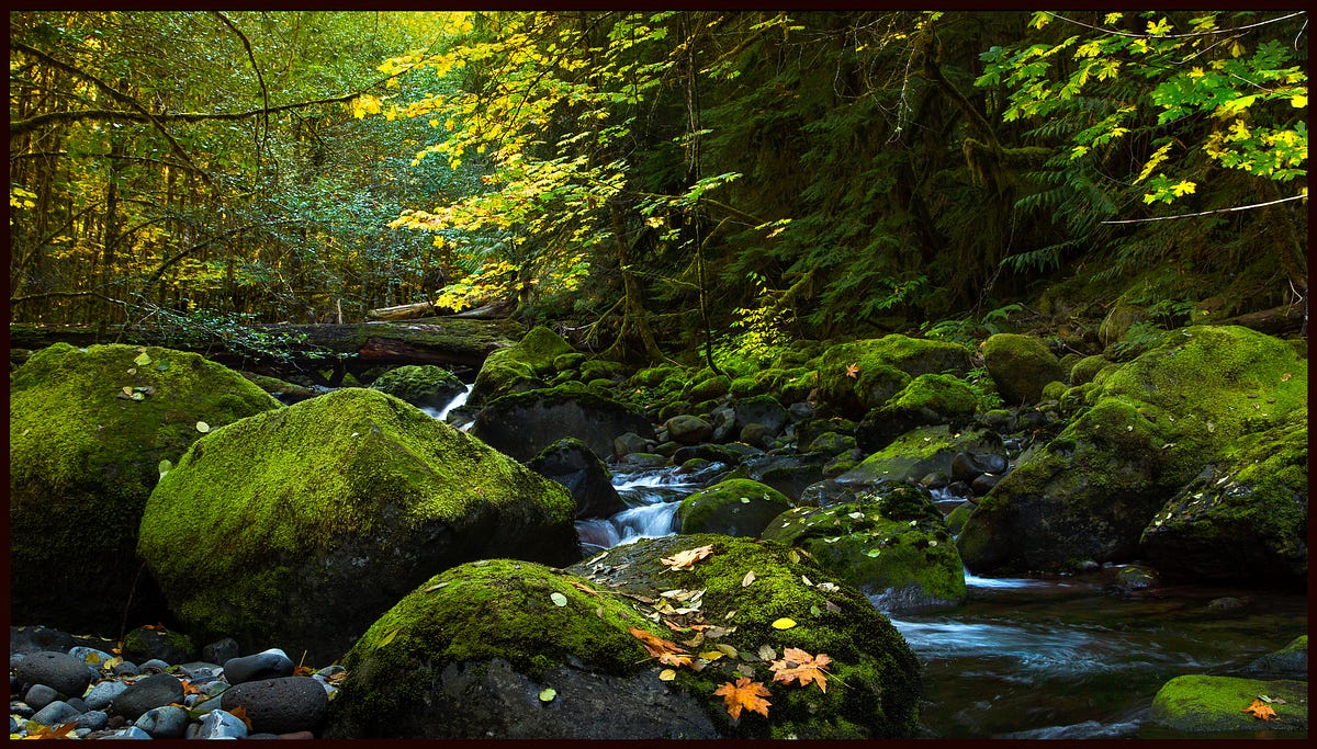 Rocks. Rolling down the slope, every buffet… | by Tyrone Graham | New ...