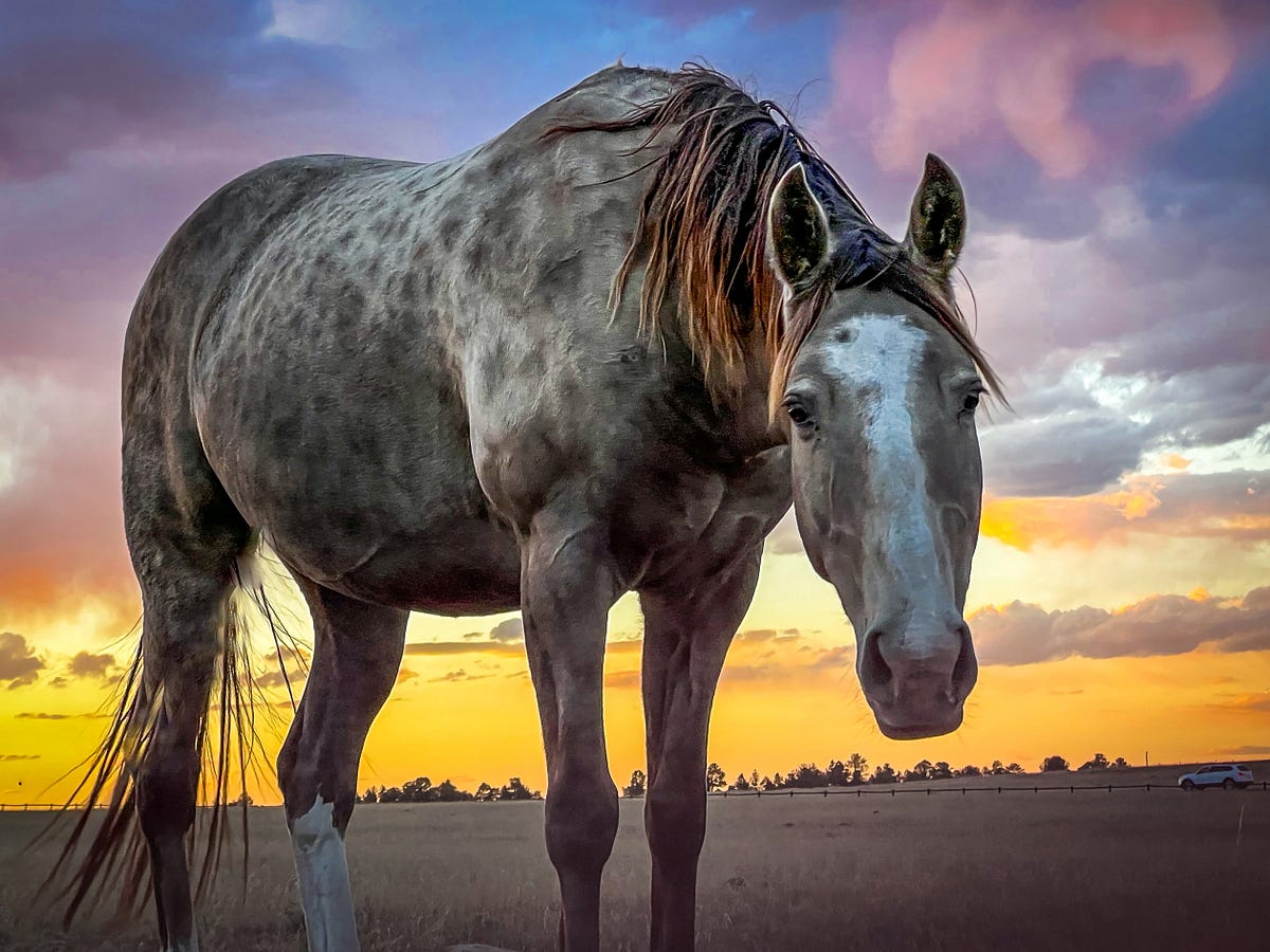 A Key to Surviving Tough Times. These survivors have this in common ...