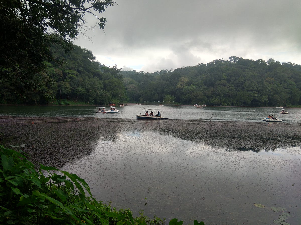 Wayanad trip. Nov 3 2023, Bengaluru. I work in… | by Ravikanth | Medium