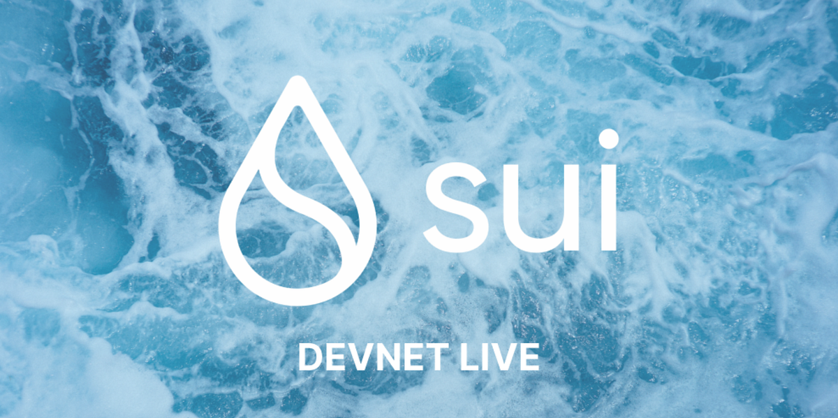 Tutorial — How to install a Full node on the SUI network — DEVNET | by DigitalDidactica | Medium