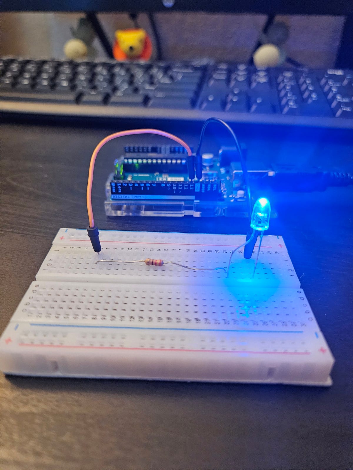 Lab 1: Intro to Physical Computing | by Ria Antony | Sep, 2024 | Medium