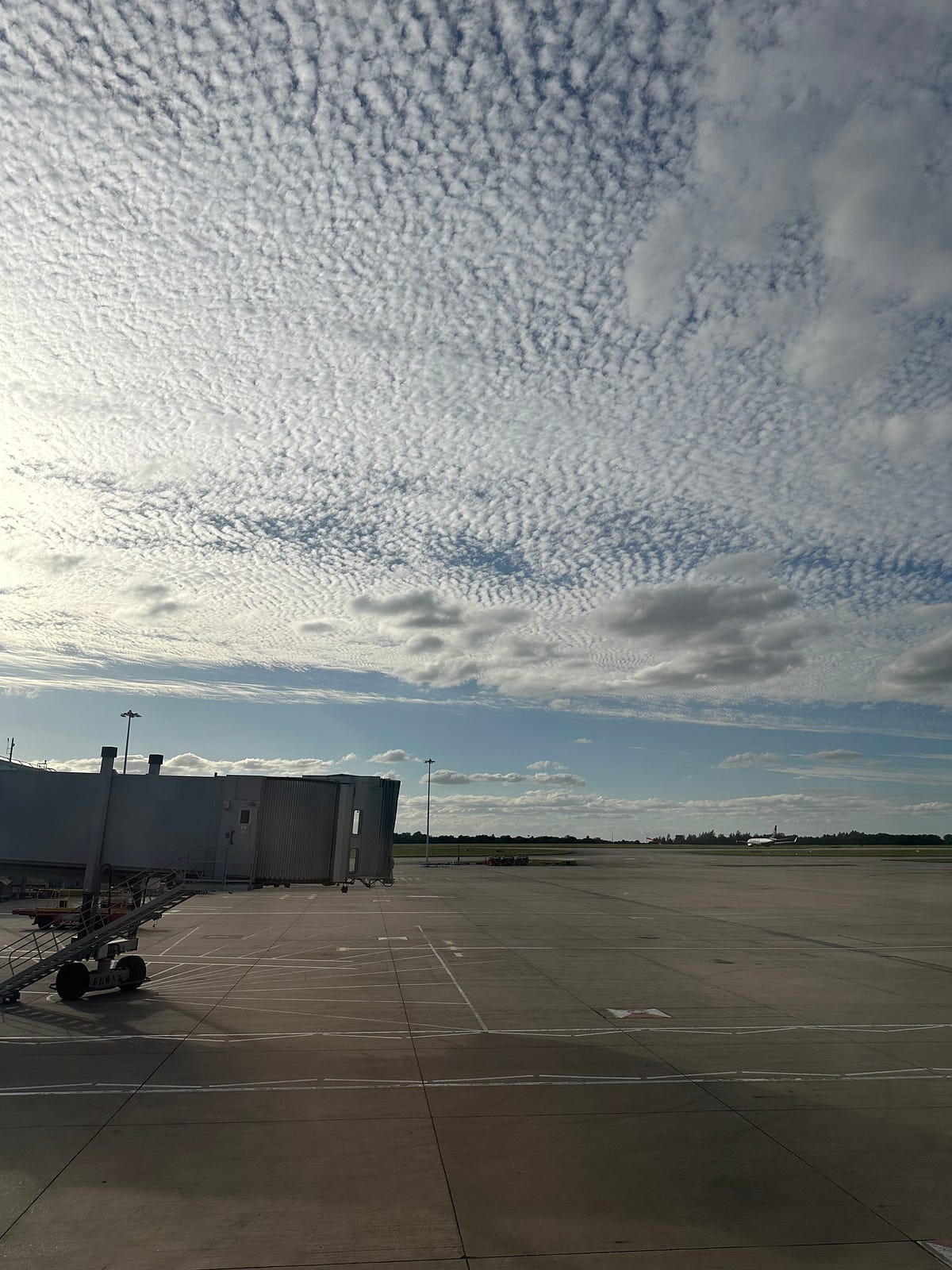 Raptiye rap rap.. Raptiye rap rap. | by insanlık hali | Medium