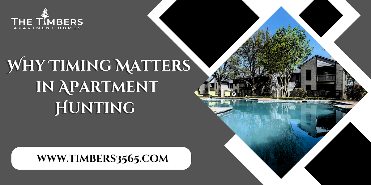 Why Timing Matters in Apartment Hunting At Timberglen Apartments in ...