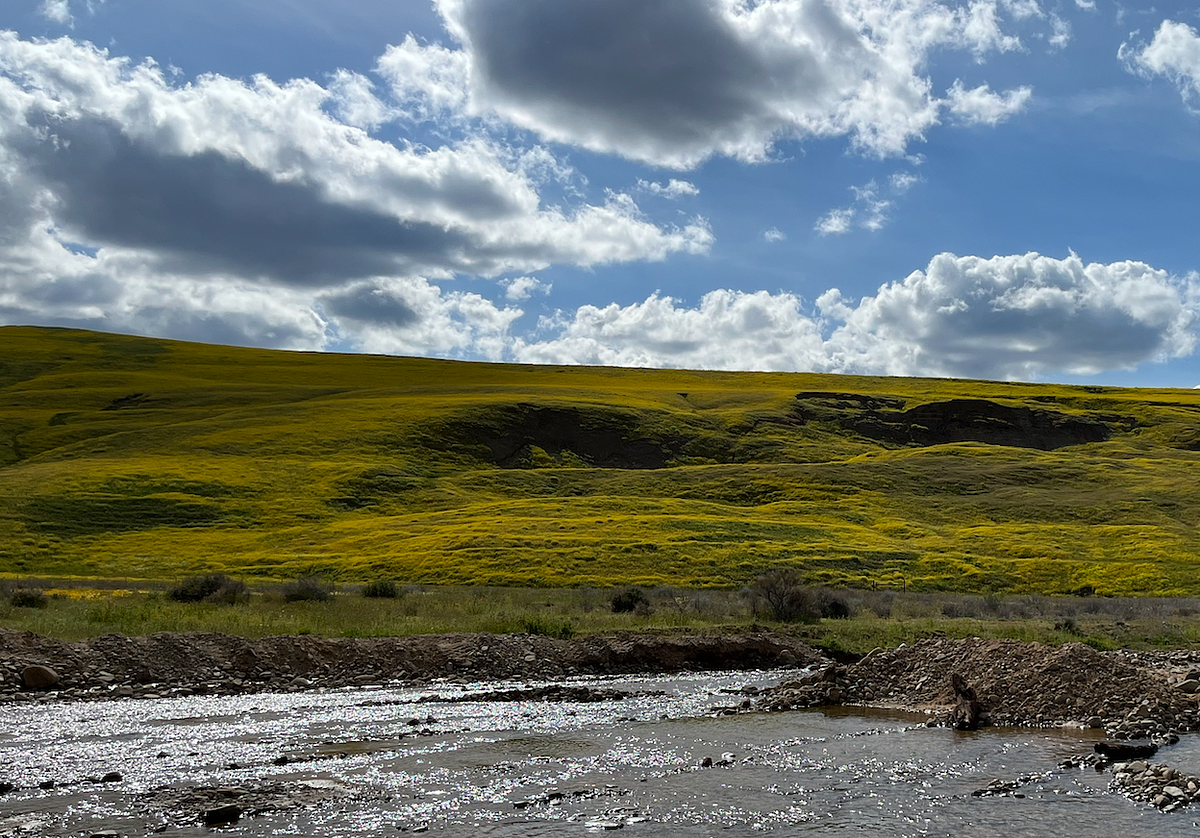 This Spring Feels Different. For those not on the west coast… | by Jeff ...
