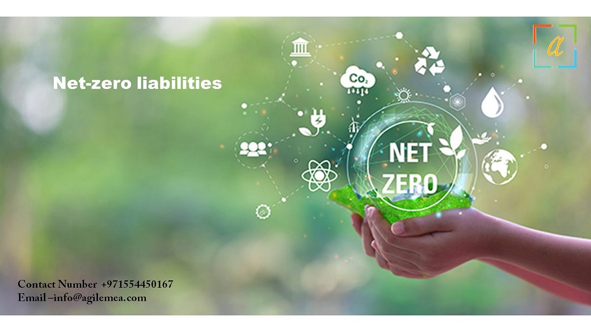 Net Zero consultancyNet-zero liabilities | by Esgconsultantintern | Medium