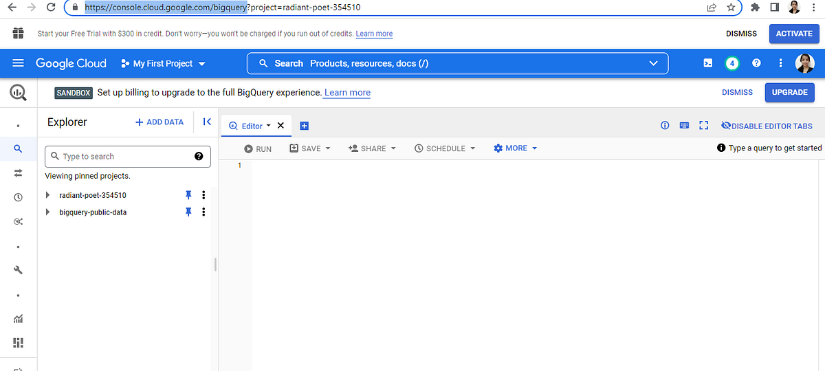 Sample Query at Sandbox — Picture By Picture Tutorial for Beginners | by Afiya Zannuba Jaleel ...