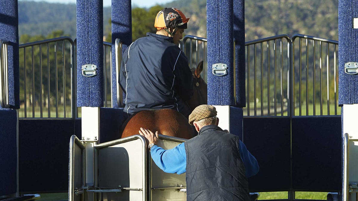 Muskoka Farm Horse Training NSW. In an idyllic setting, Muskoka Farm ...