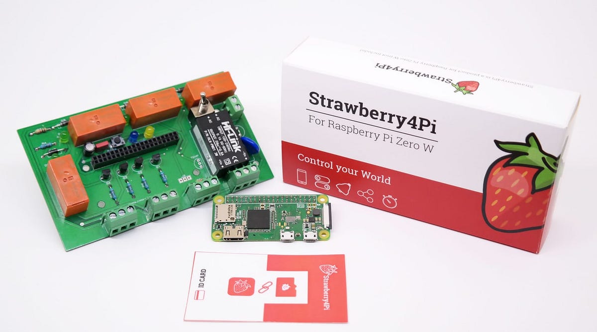 Develop IoT Projects with the Raspberry Pi Zero W and Strawberry4Pi ...
