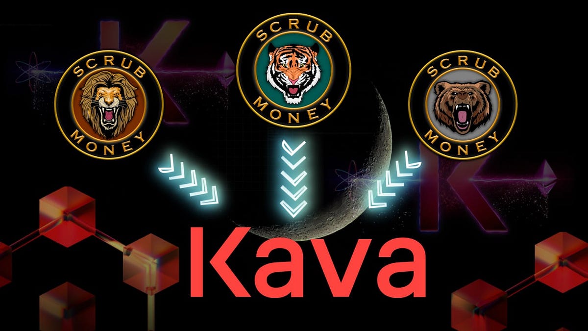 A new horizon for Scrub Money: Kava Network | by Scrub Money | Medium