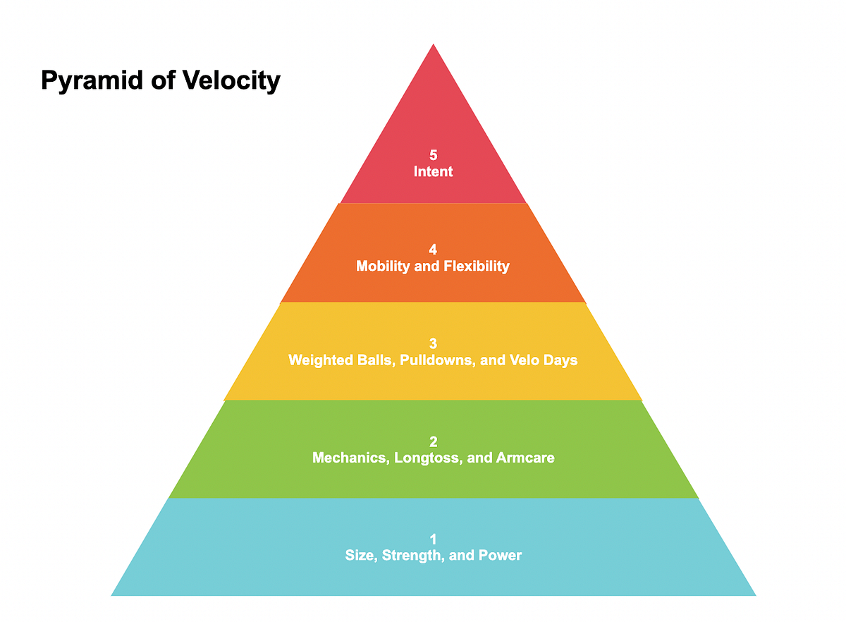 How to Gain Pitching Velocity: A Beginners Guide To Training Part 1 ...