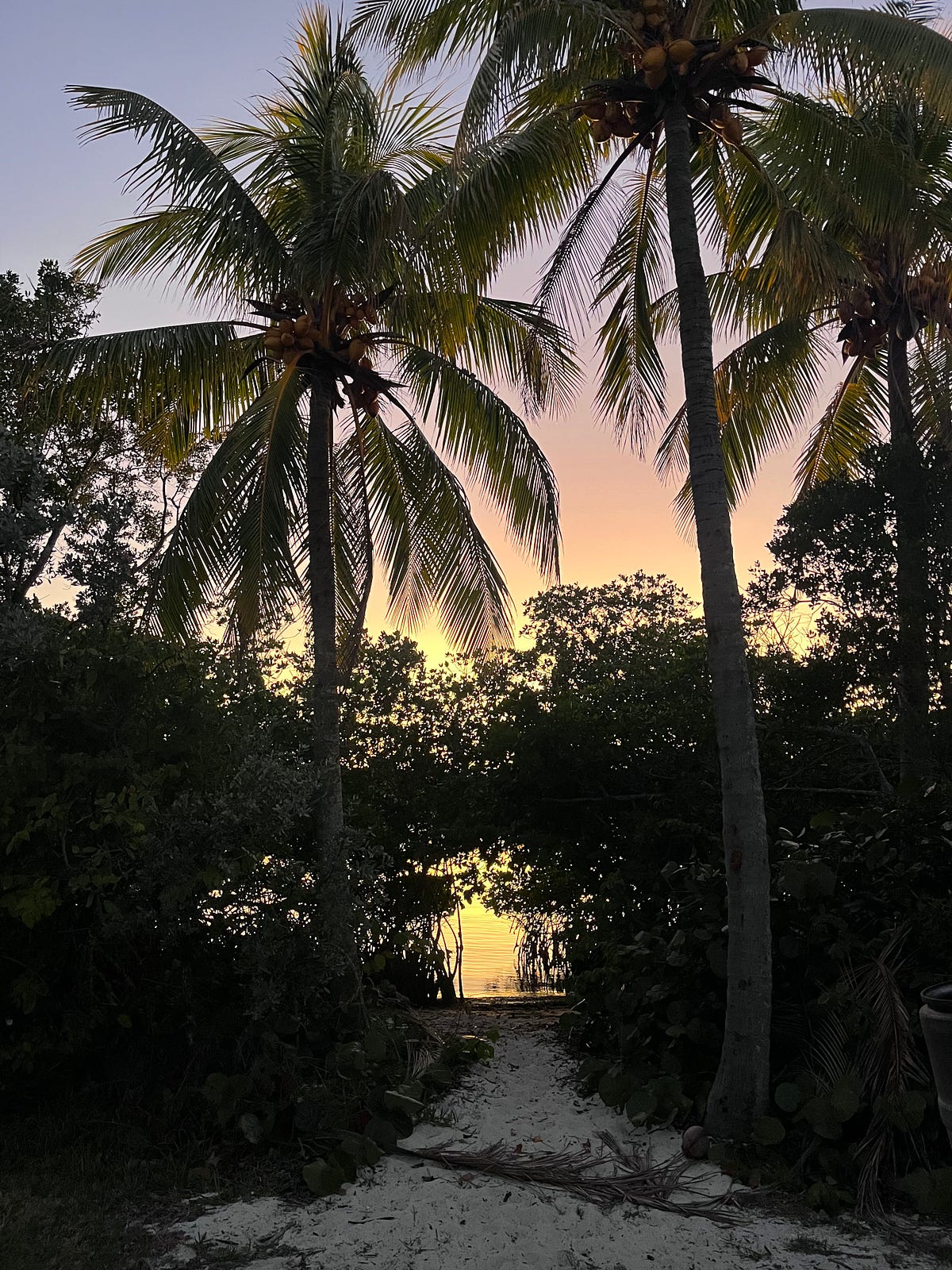 Masks Off. Hurt until you laugh at pain | by Artemis Sullivan | Scribe ...