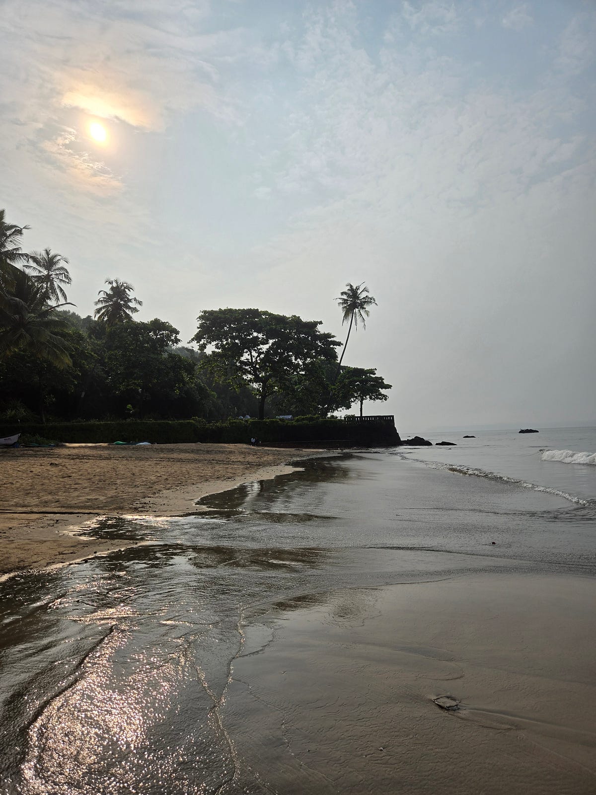Continuum of Life. A reminder that Life resides in those… | by Kanika A ...