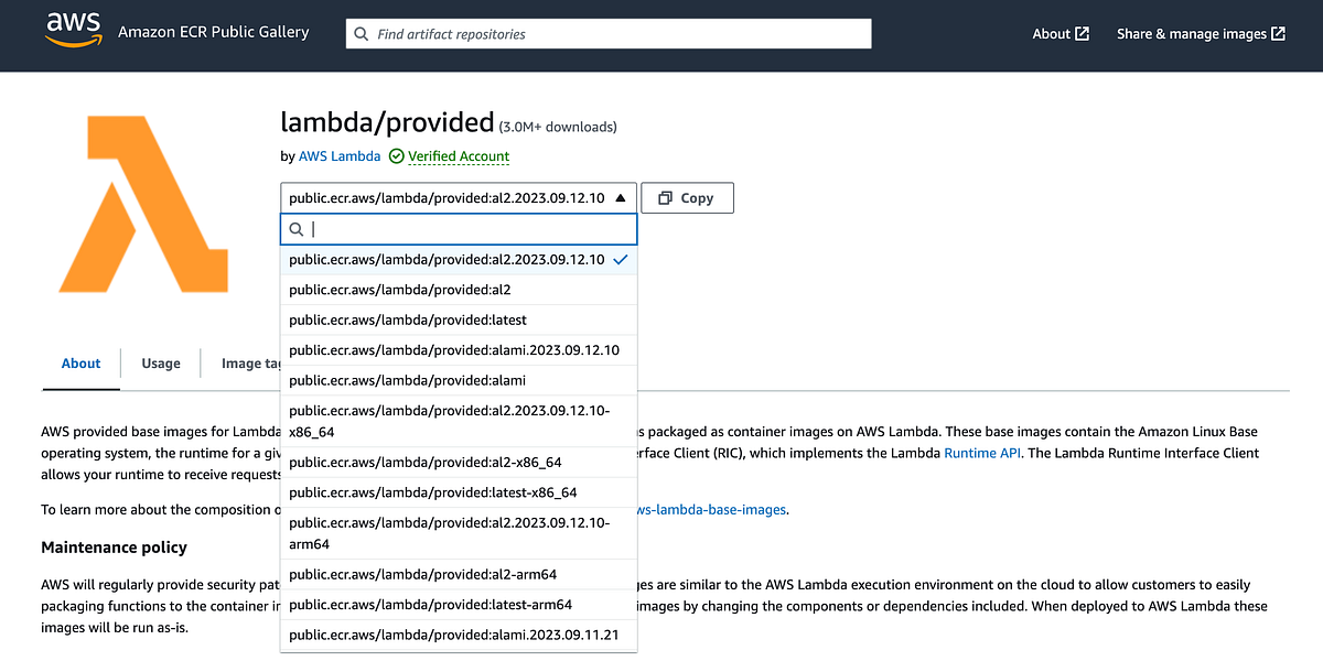 Custom Bash Runtime for Lambda Container | by Teri Radichel | Cloud Security | Medium