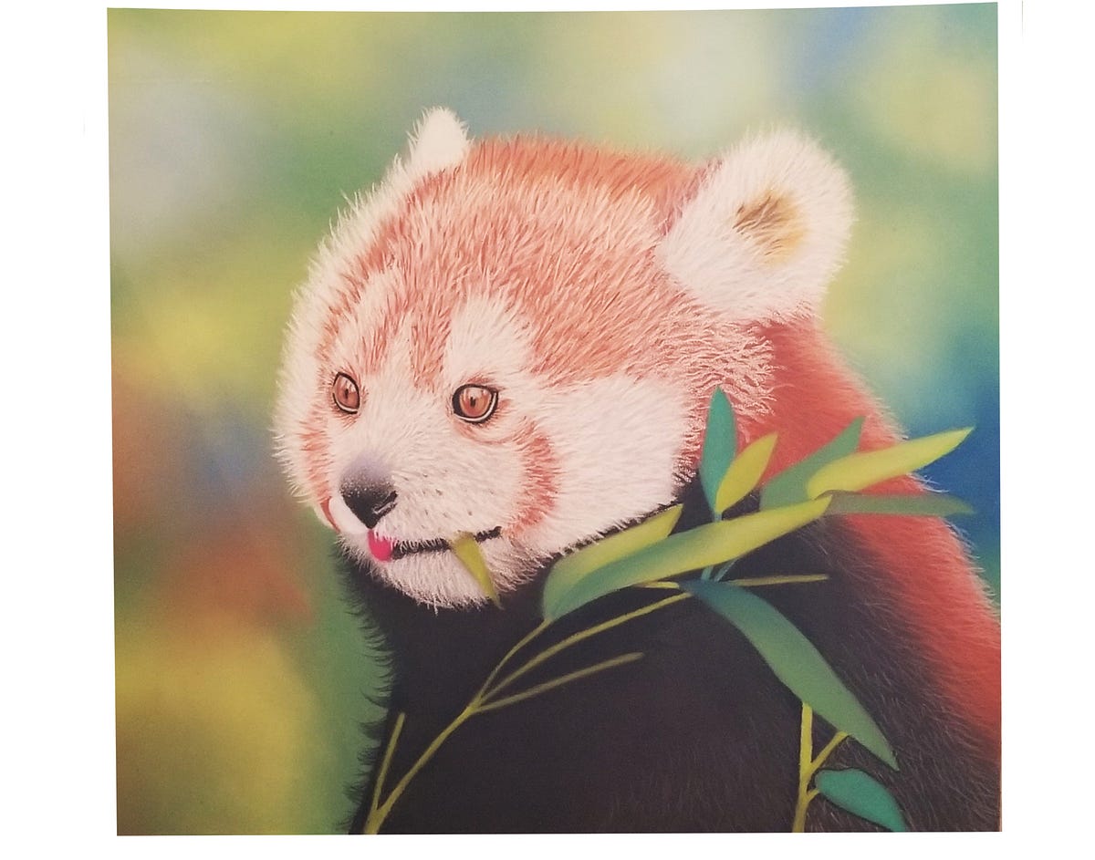 Using OpenAI and PandasAI for Series Operations | by Michael B Walker | TDS Archive | Medium