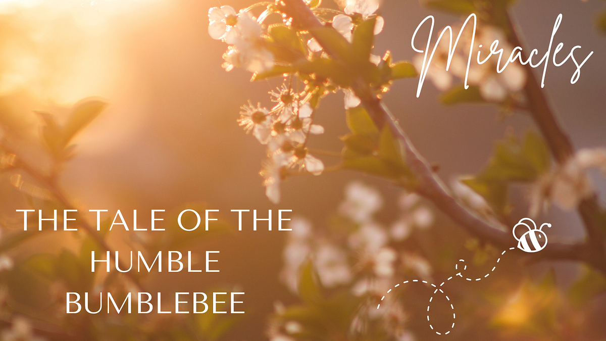 The Tale of the Humble Bumblebee: Reclaiming our Power and Creating ...