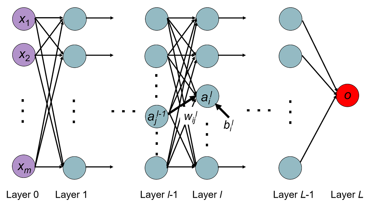 Multi-Layer Perceptrons Explained and Illustrated | by Dr. Roi Yehoshua | Towards Data Science