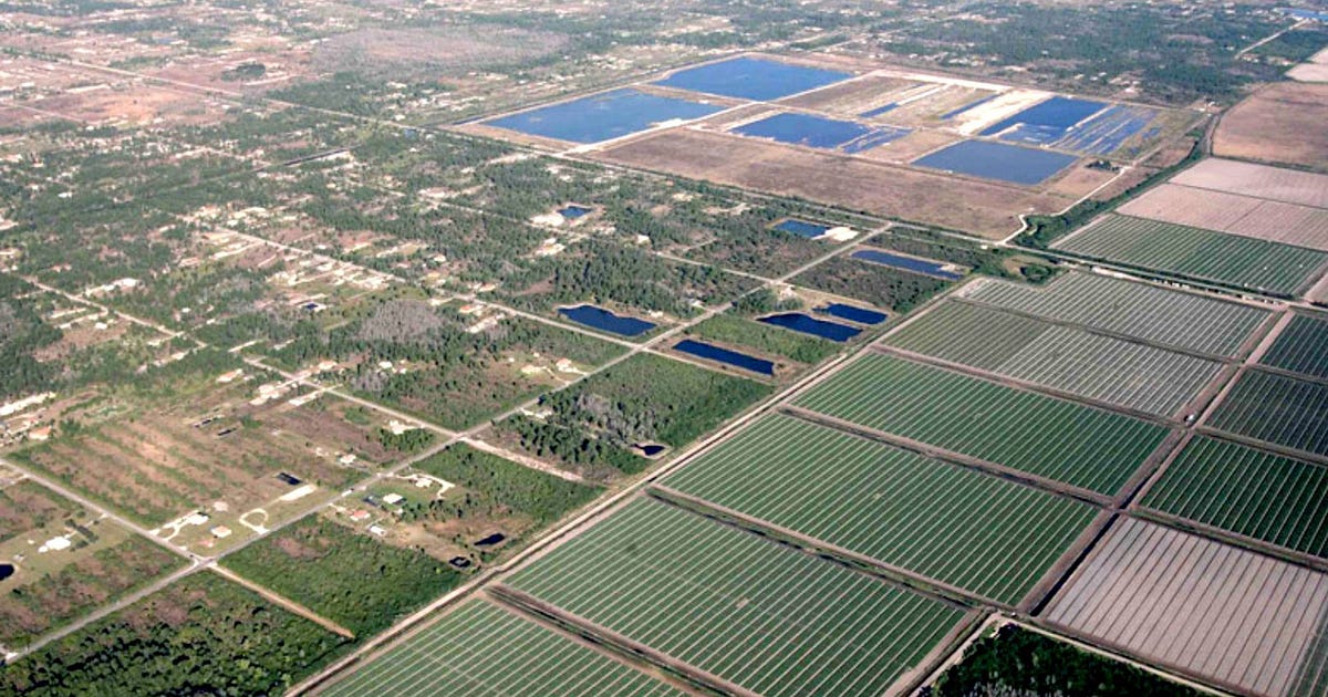 Collier County is poised for another mega-blunder | by Conservancy of ...