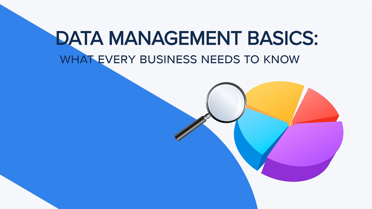Data Management Basics: What Every Business Needs to Know | by TRIARE ...