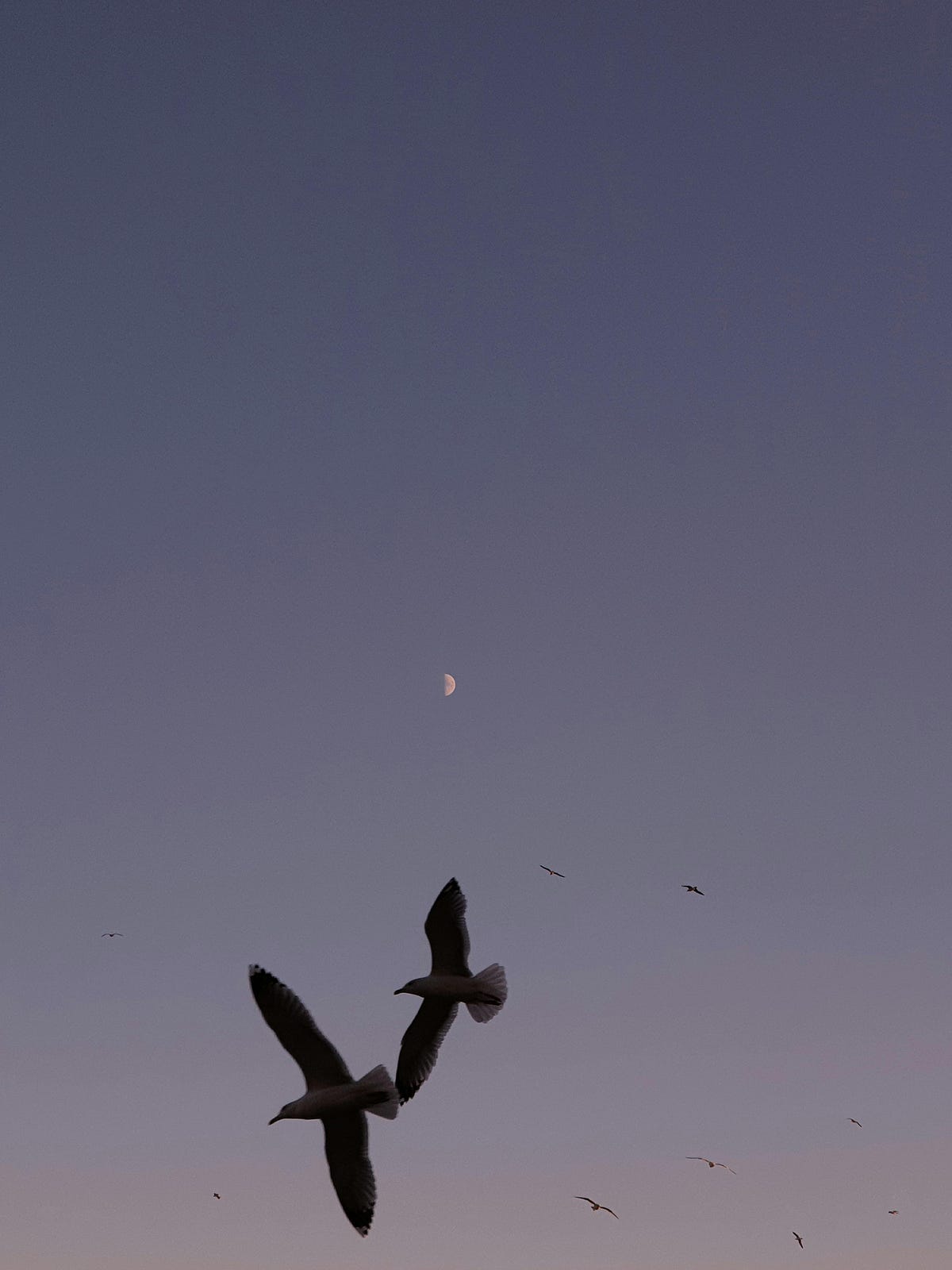 Dreams.. There once lived a boy named Seb. He… | by Mayhems with ...