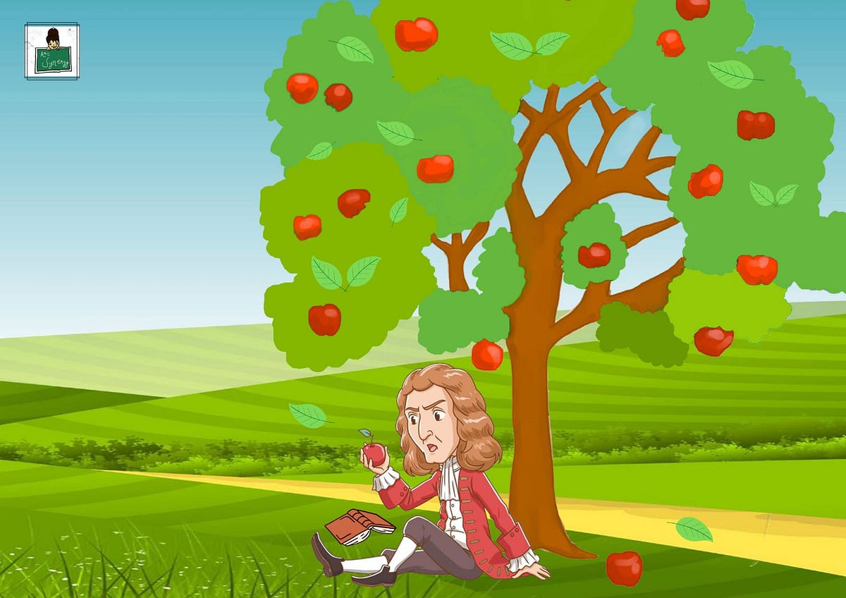 Cultivating Curiosity. Curiosity is something that everyone’s… | by Art ...