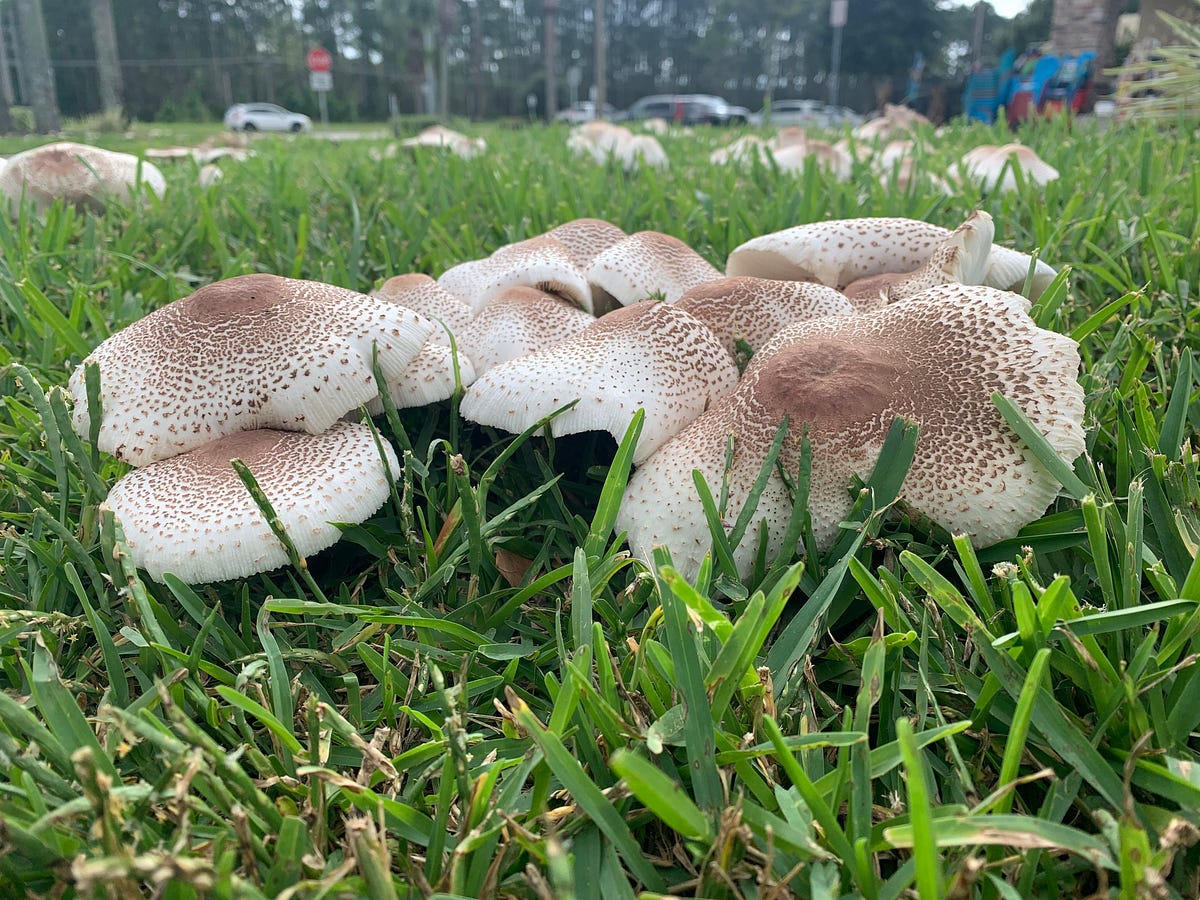 Not The Best At this, And That’s Ok. | by Korey Jones | Medium