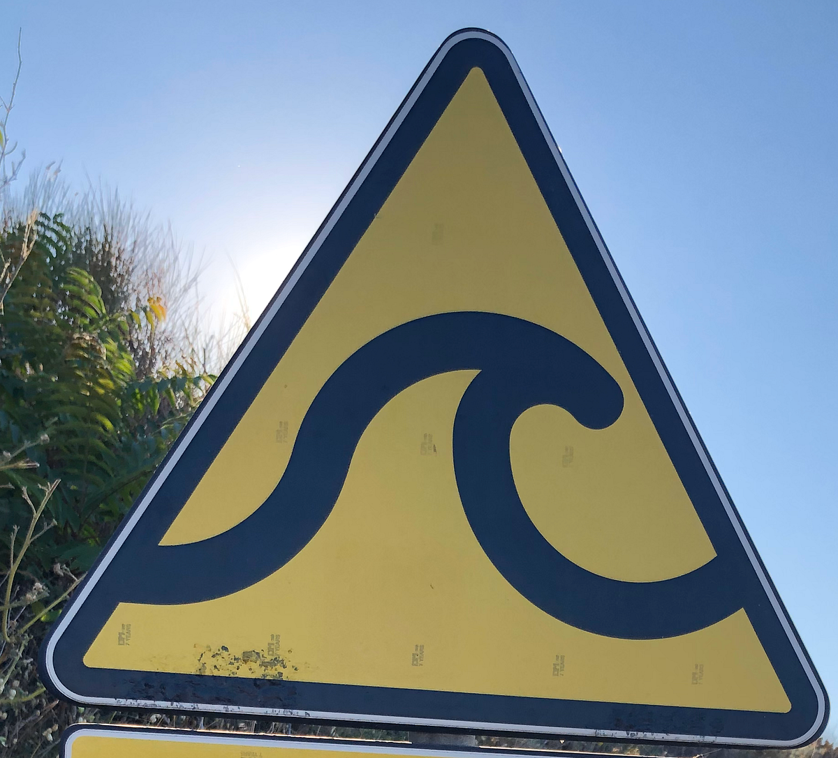 Managing the flood. Making sense of google searches about… | by Jeremy ...