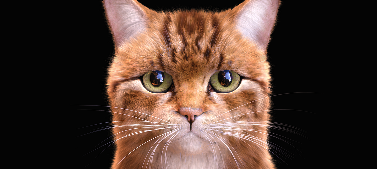The “ImAKittyCat” NFT Project Will Challenge Your Ability to Distinguish Art from Reality | by ...
