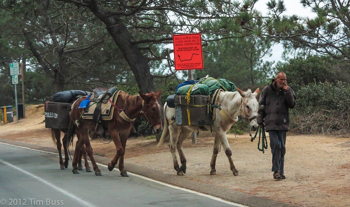 Dear God, can you please fix the Medium content delivery system? | by ...