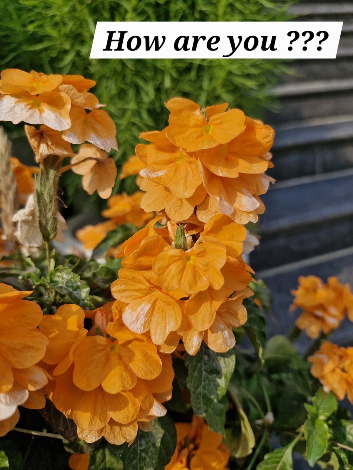 How are you?. I hope you are doing well, but if not… | by Aranya Shukla | Modern Women | Jun ...