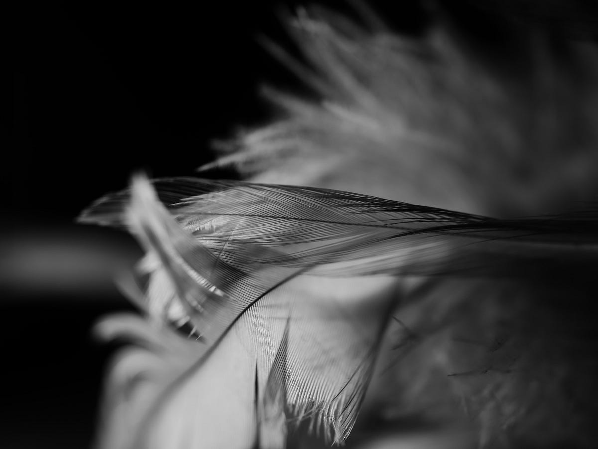 What’s Worse? (Hope) - Cheryl Haynes - Medium