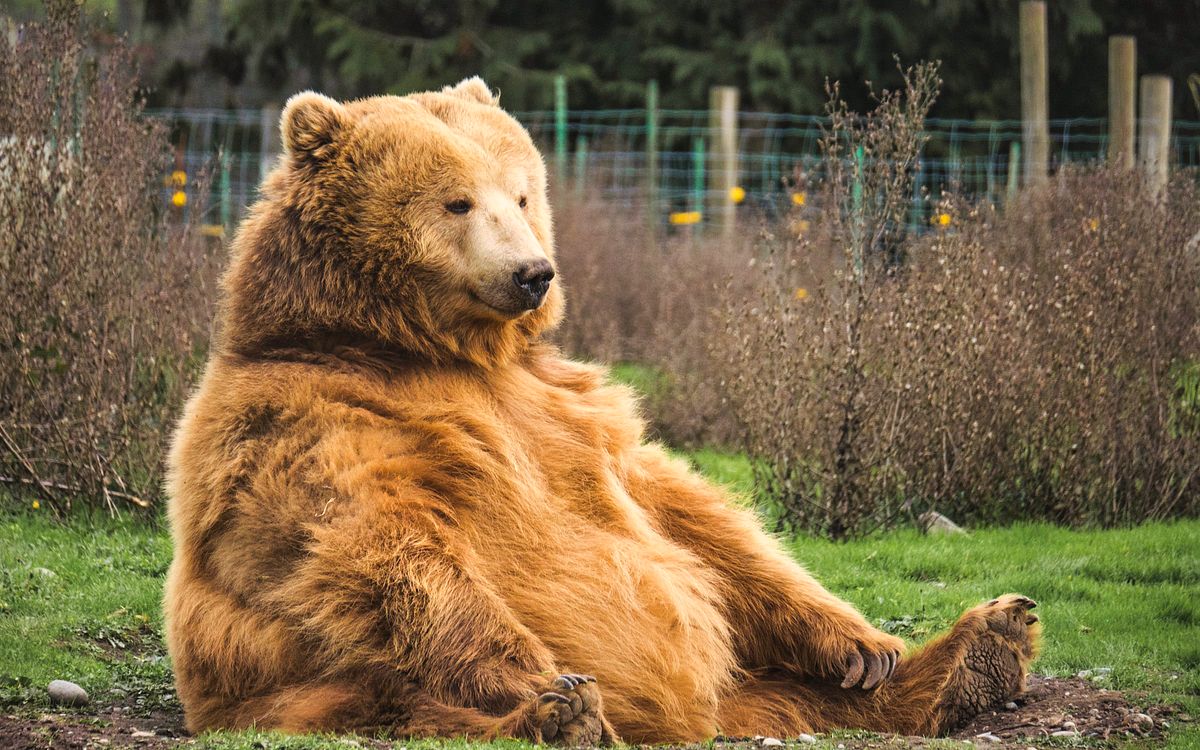 3 Crucial Lessons From History’s Worst Bear Markets and What They Can ...