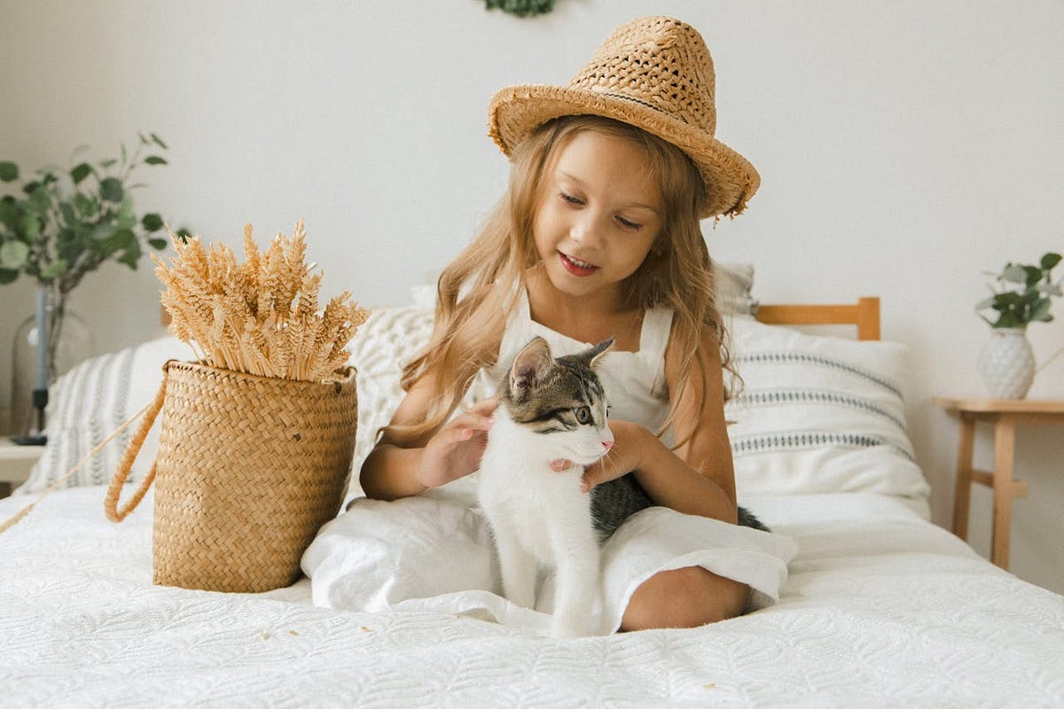 The Amazing Benefits of Having Pets in the Home | Medium