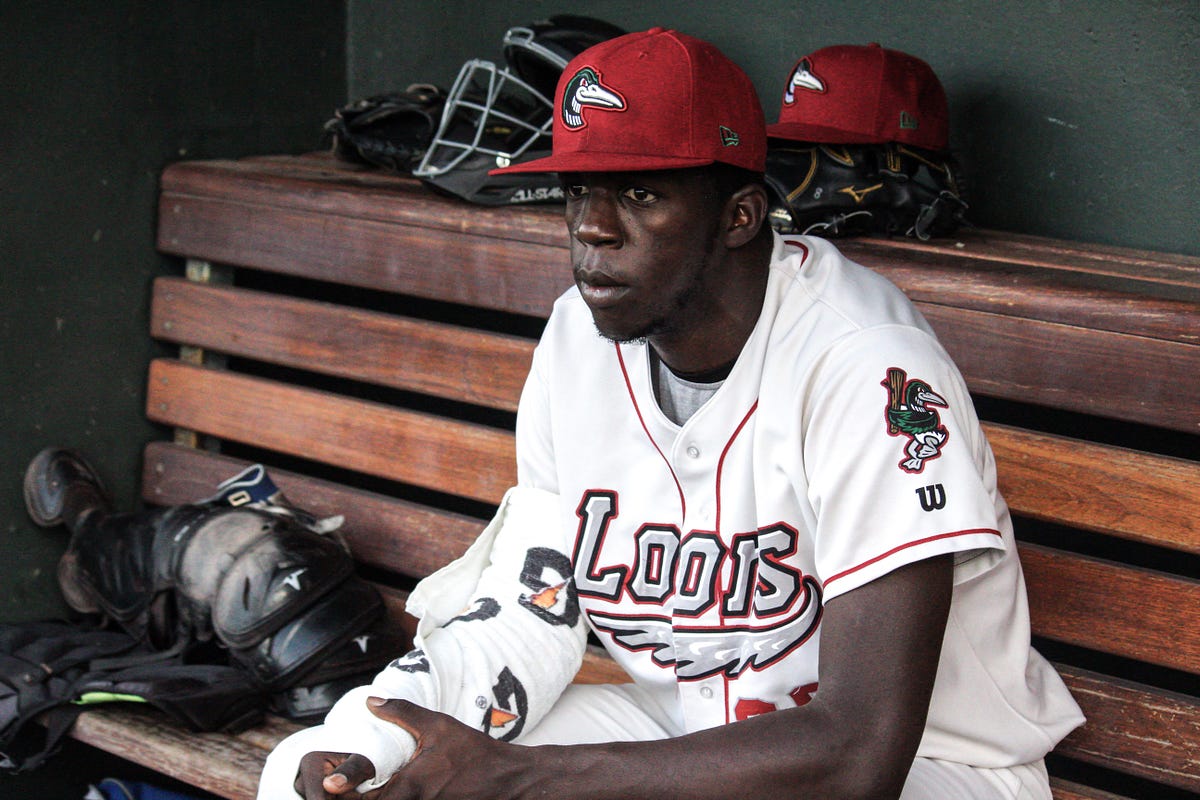 A family farm, brother, baseball: The story of Loons pitcher Jeronimo ...