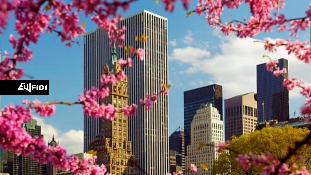 Blooming Beauty and Bustling Streets: A Look at New York City in Spring ...