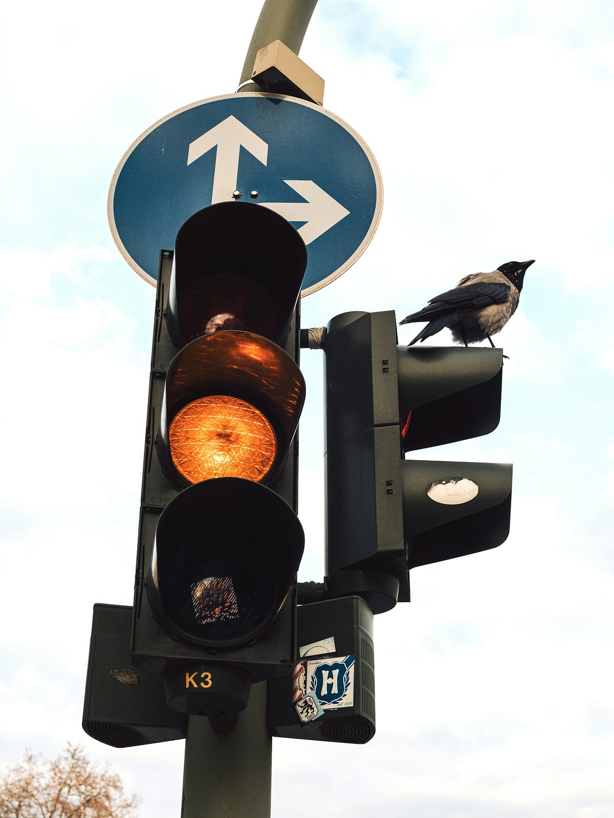 Do You Agree With The Direction You Are Heading? | by Gregory Reece ...