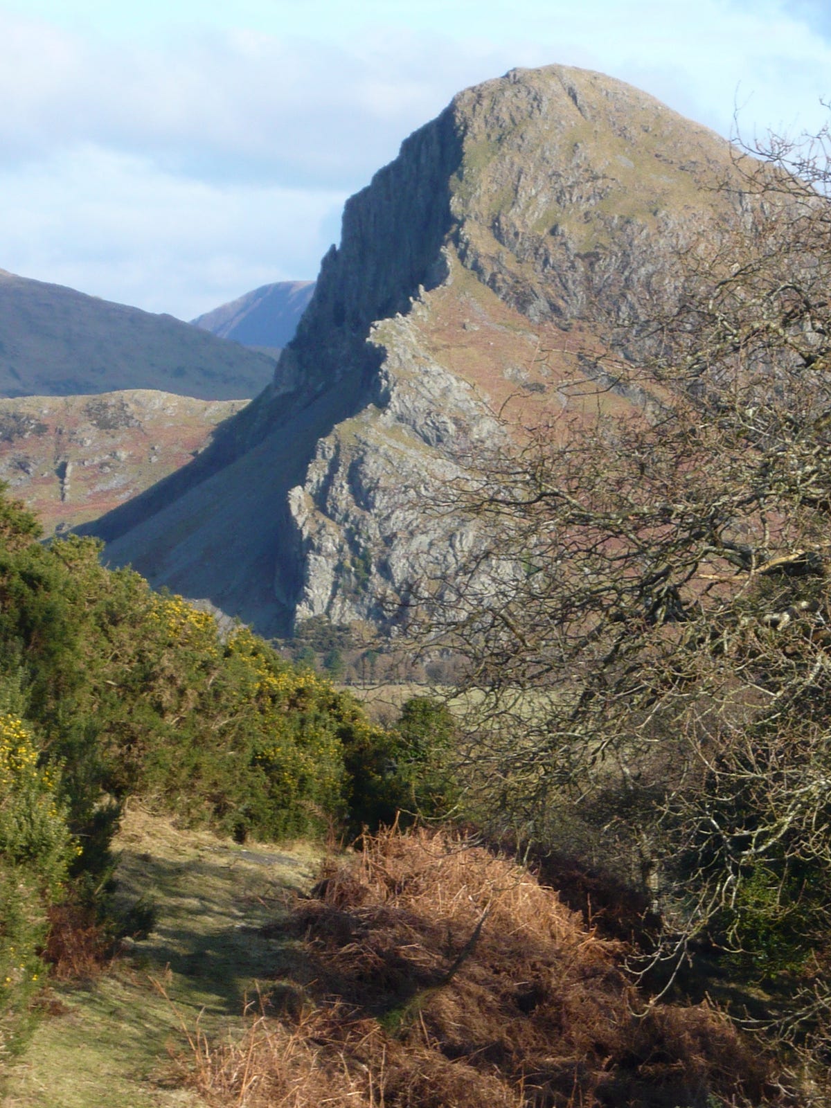 BIRD ROCK O’ soft sound of the mosses that cling to you gladly! And the ...