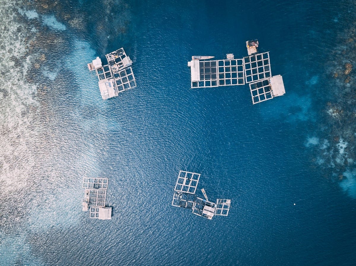 Aquaculture: identifying the technology drivers for continued growth | by J.P. Bowgen ...