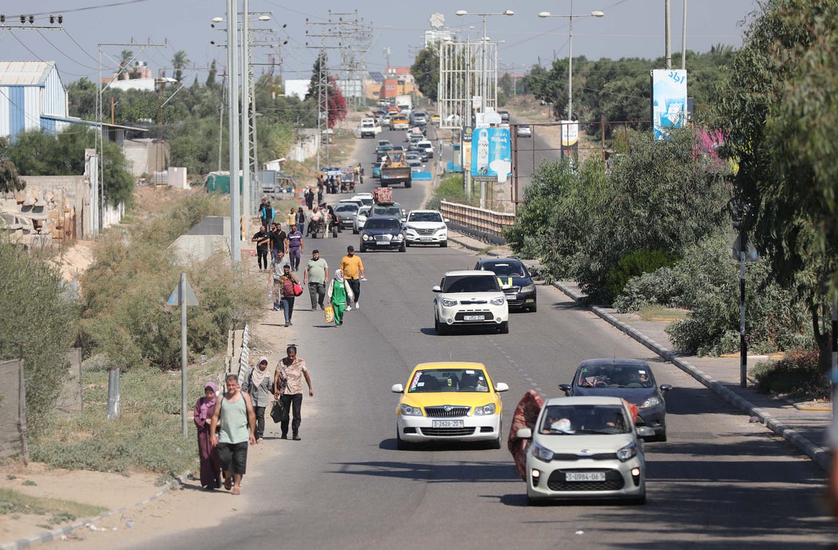 Olives are rotting on the trees and food prices are soaring — the ...