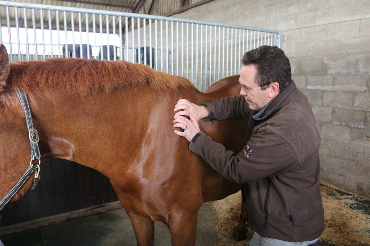 Animal Osteopathy. Its origins and growth | by Tony Nevin | Creatures ...