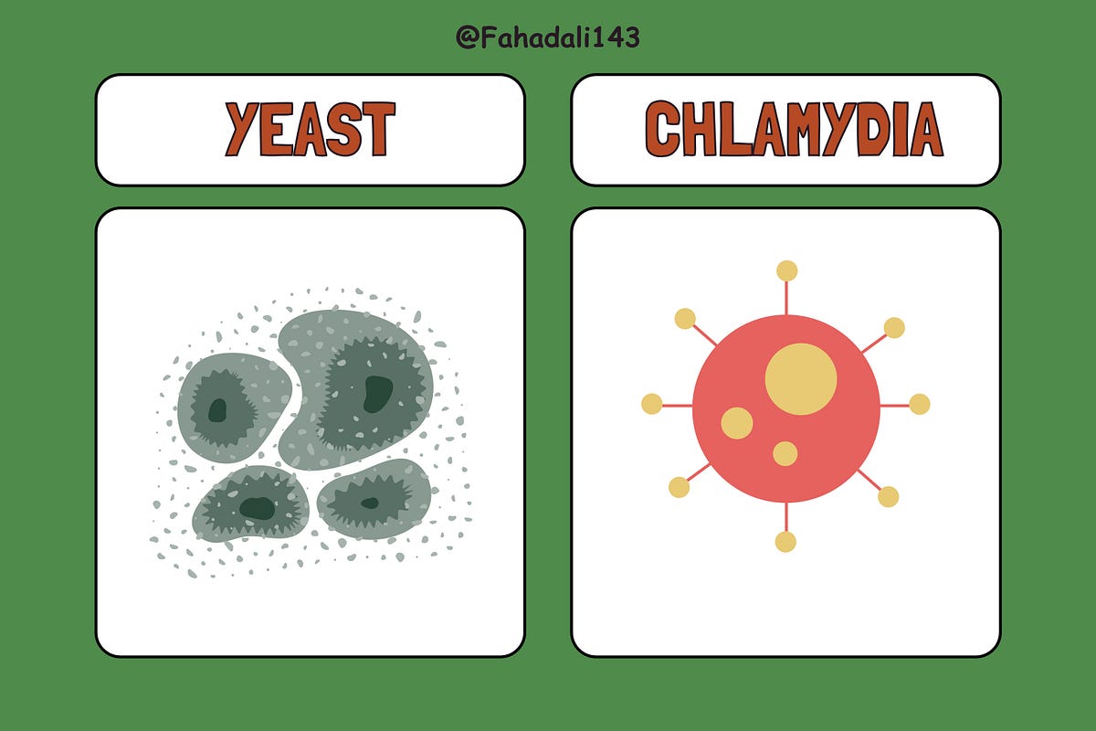 Differences Between: Yeast Infection vs Chlamydia | by Fahad ali | Medium
