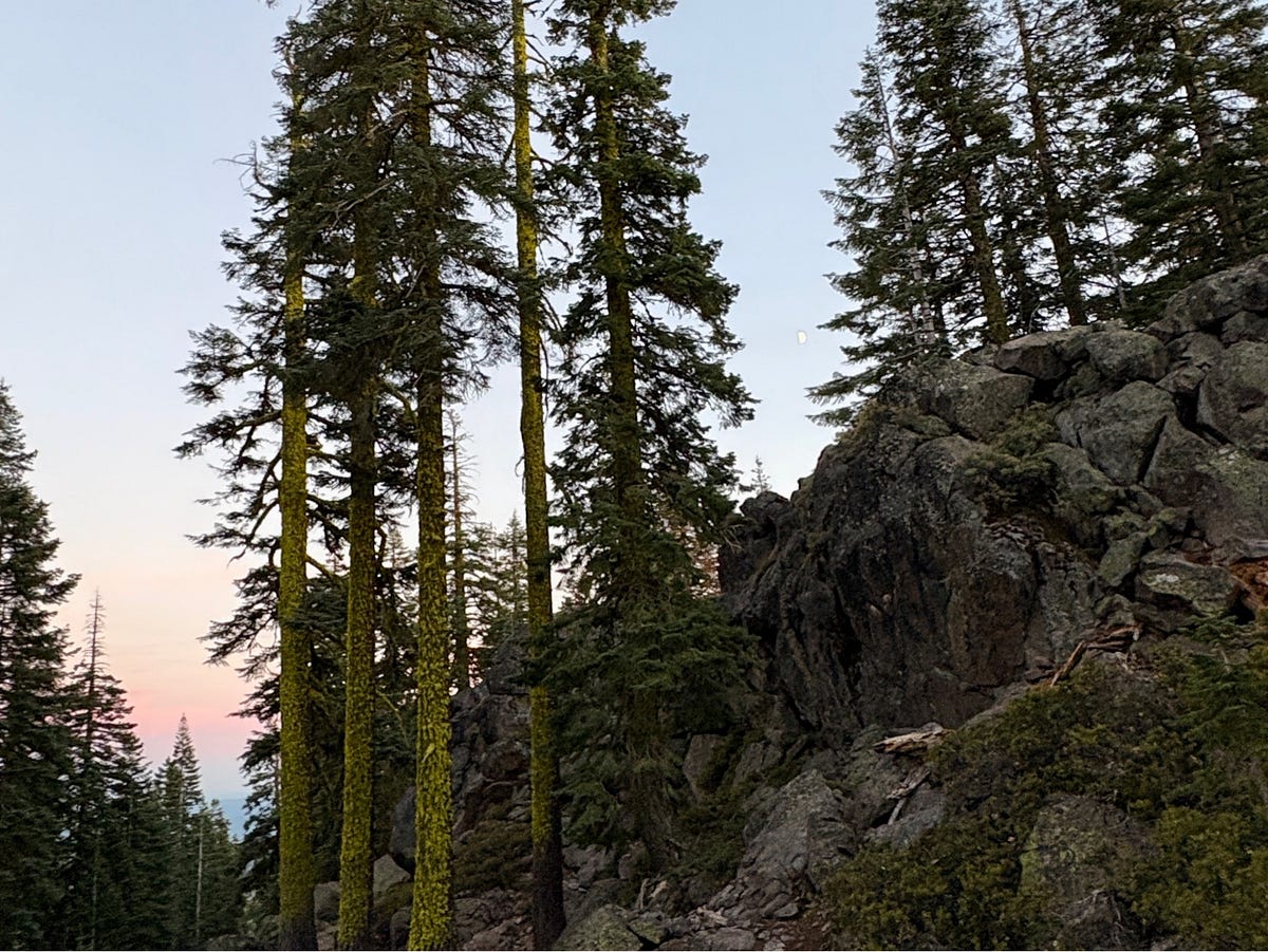 Mount Shasta’s Sacred Sites: Ascension Rock | by Gemini May | New Earth ...
