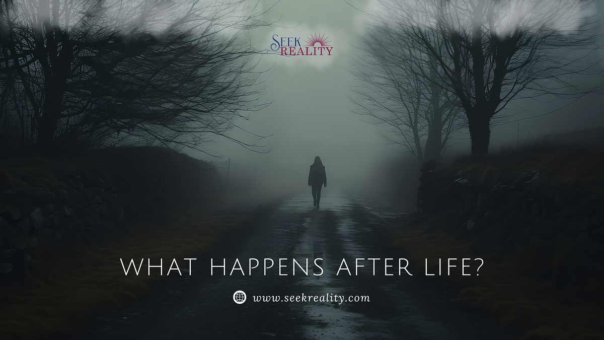 What the Afterlife Teaches Us |A Journey with Seek Reality | by Seek ...