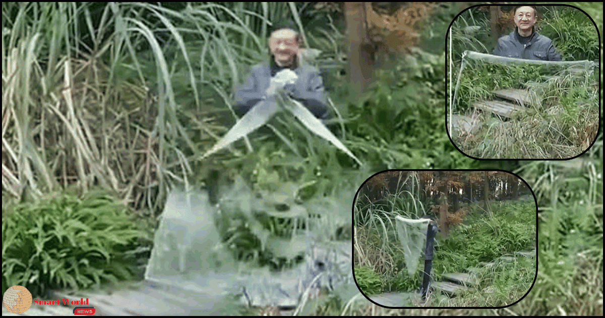 GOING TO GET MY INVISIBILITY CLOAK! | by Mayrian Team | Feb, 2024 | Medium