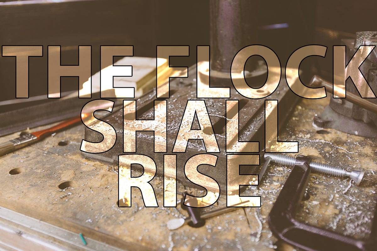 The Flock Shall Rise. “Ladies and gentleman, I want cha to… | by ...