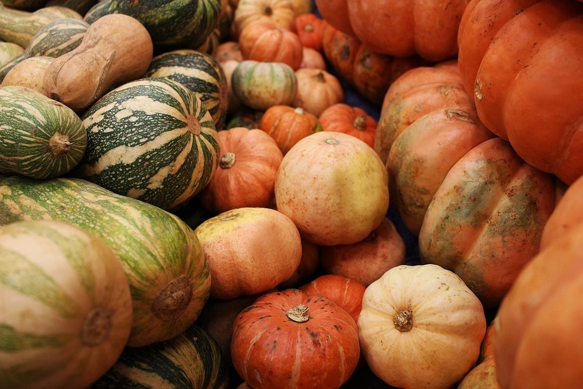 Are Winter Squashes Interchangeable? | by Linda Lum | Tastyble
