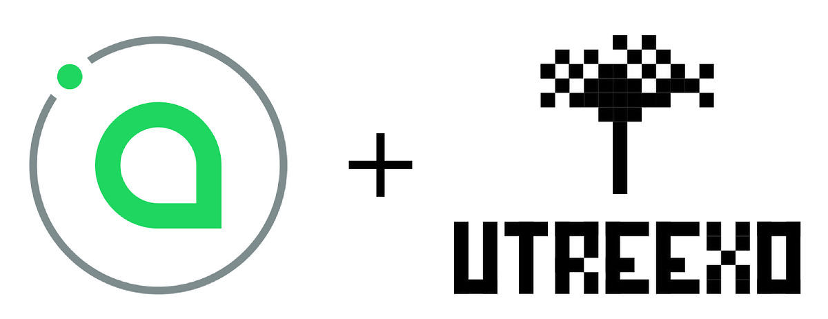 Utreexo in Sia: A Summary. I recently published a post on my… | by Luke ...