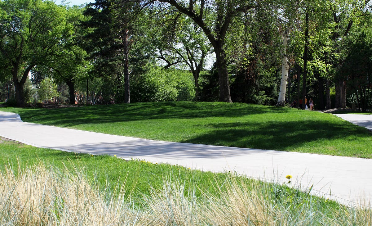 What is The Quad?. The Quad is where the U of A community… | by The ...