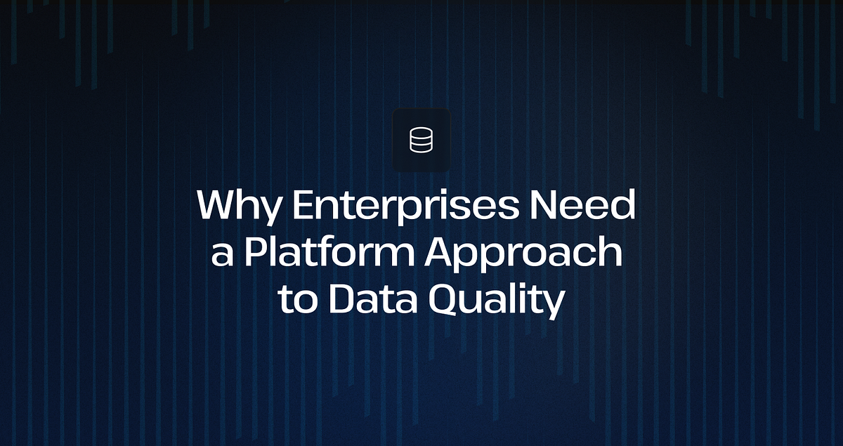 Why Enterprises Need a Platform Approach to Data Quality | by Marcin ...