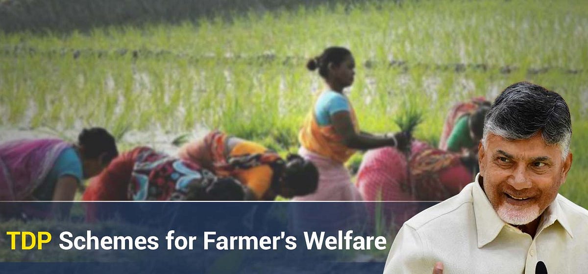 TDP Schemes for Farmer’s Welfare. N Chandrababu Naidu, the former Chief… | by vasu seo | Medium